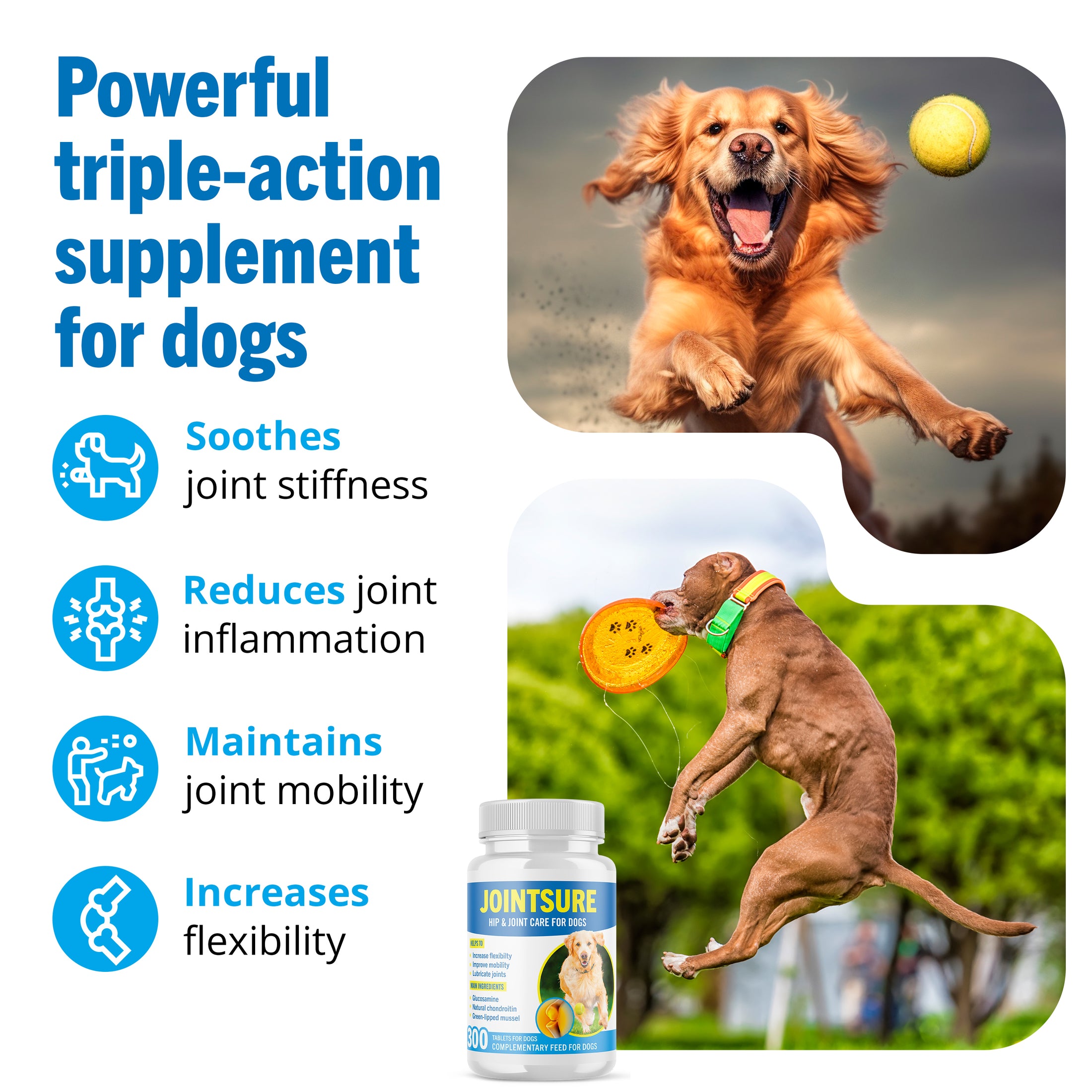JOINTSURE | Supports dog joint structure and maintains joint mobility ...