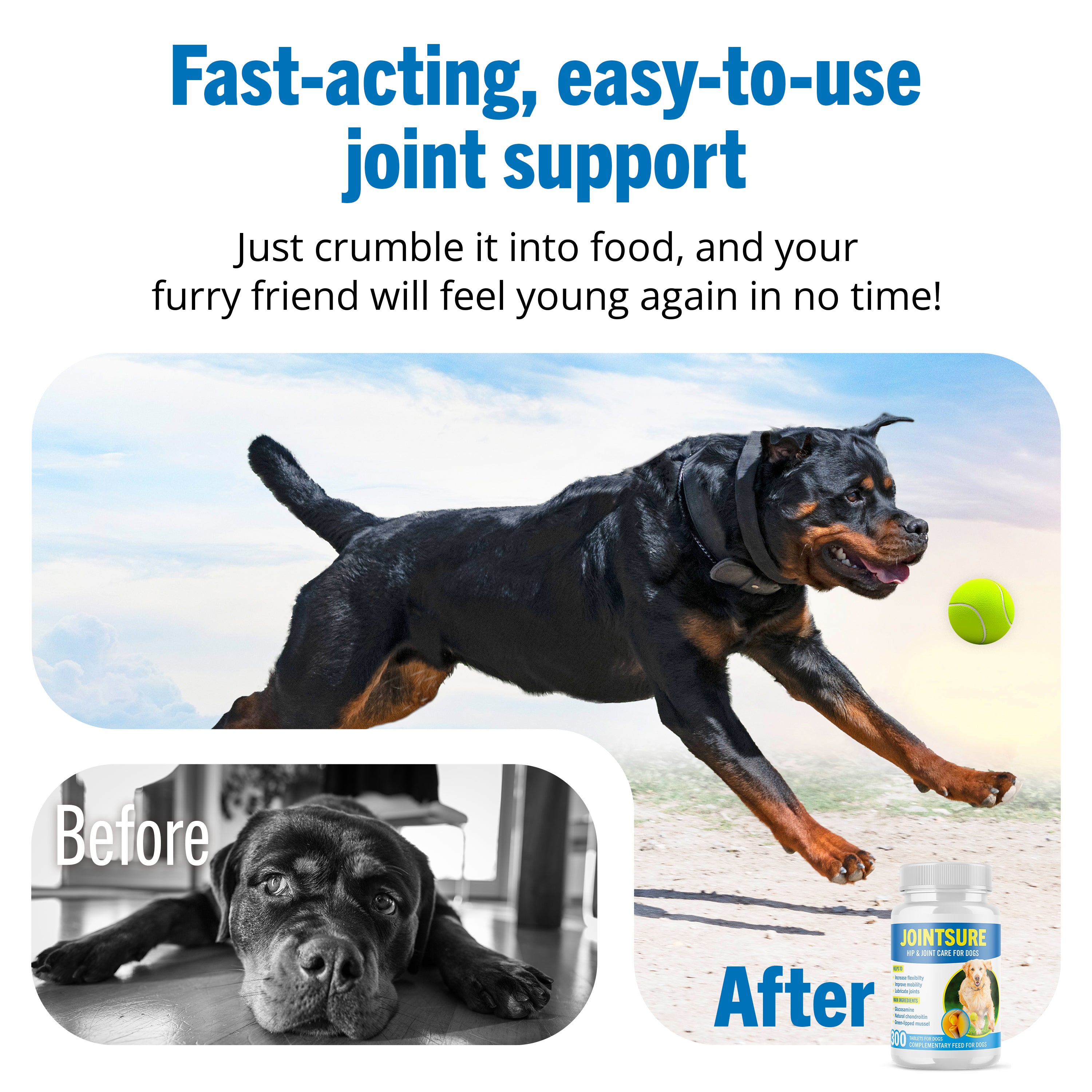 JOINTSURE | Supports dog joint structure and maintains joint mobility ...