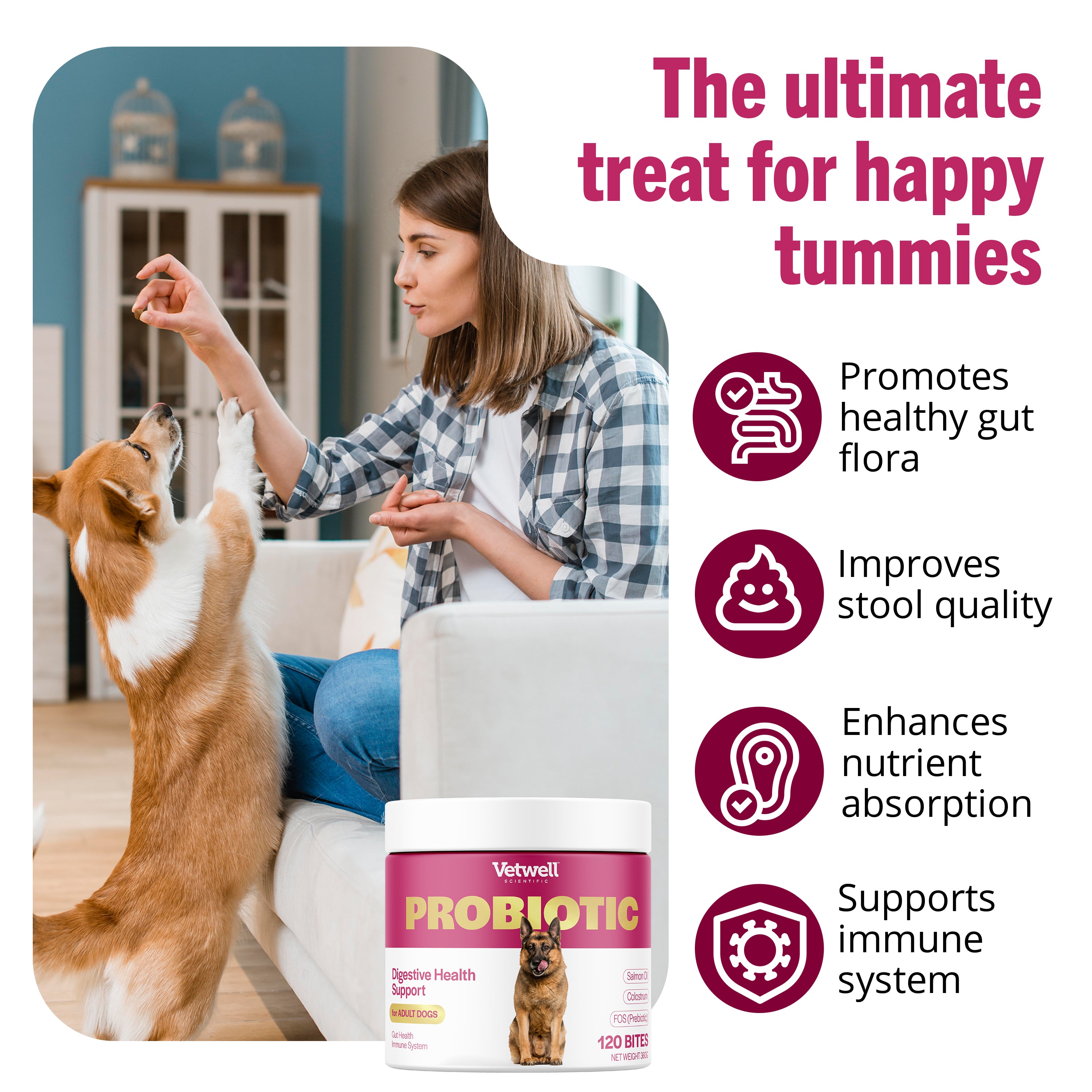 Probiotic Chews – Vetwell Scientific