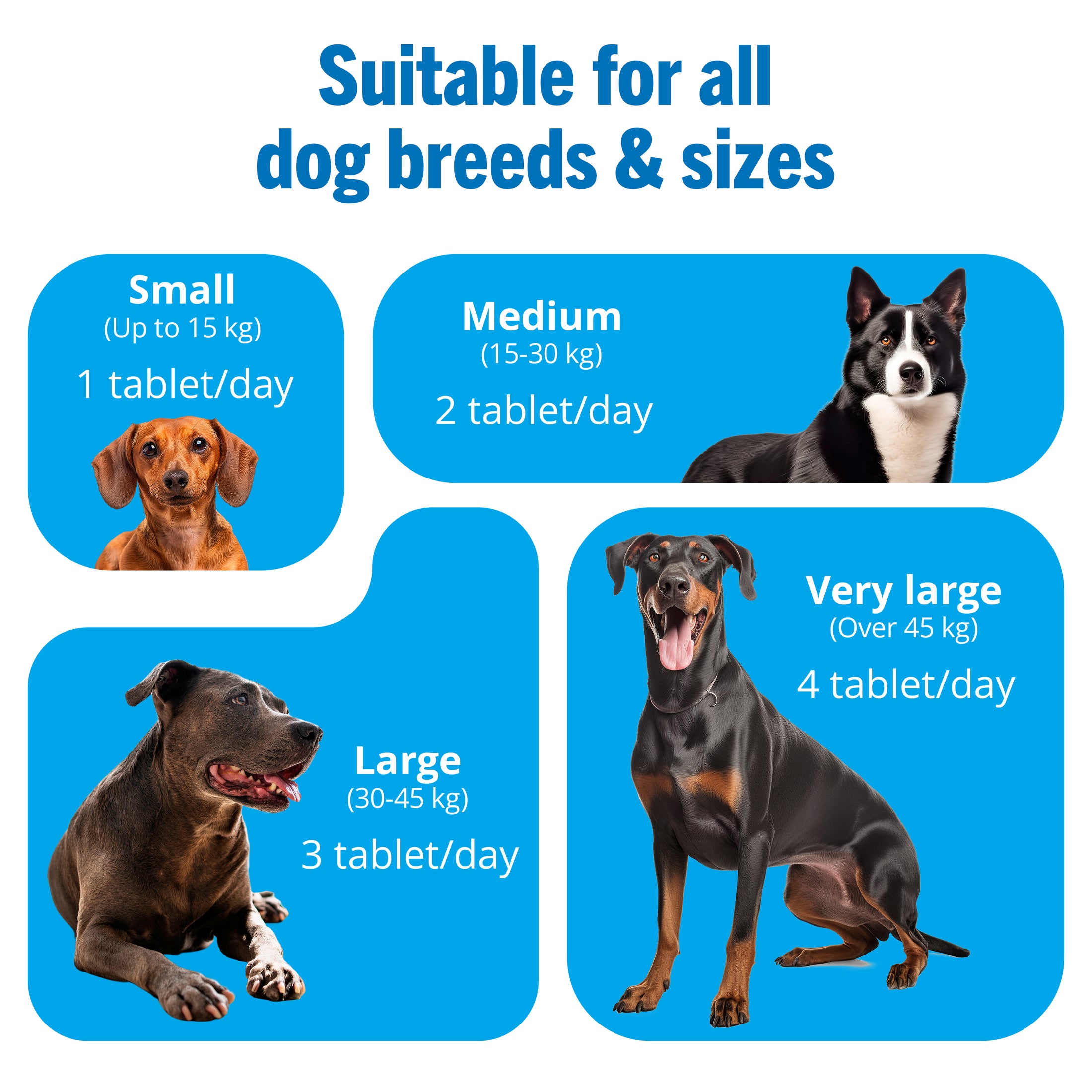 Vetwell Scientific | Supplements for Active, Healthy & Happy Dogs