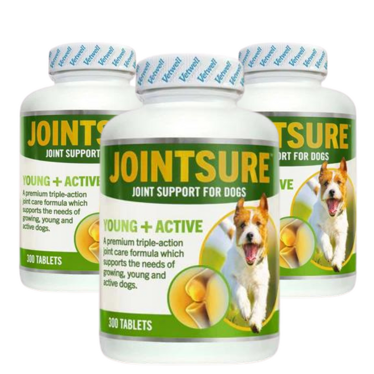 Best Joint Supplement for Puppies & Young Adult Dogs | JOINTSURE Y&A ...